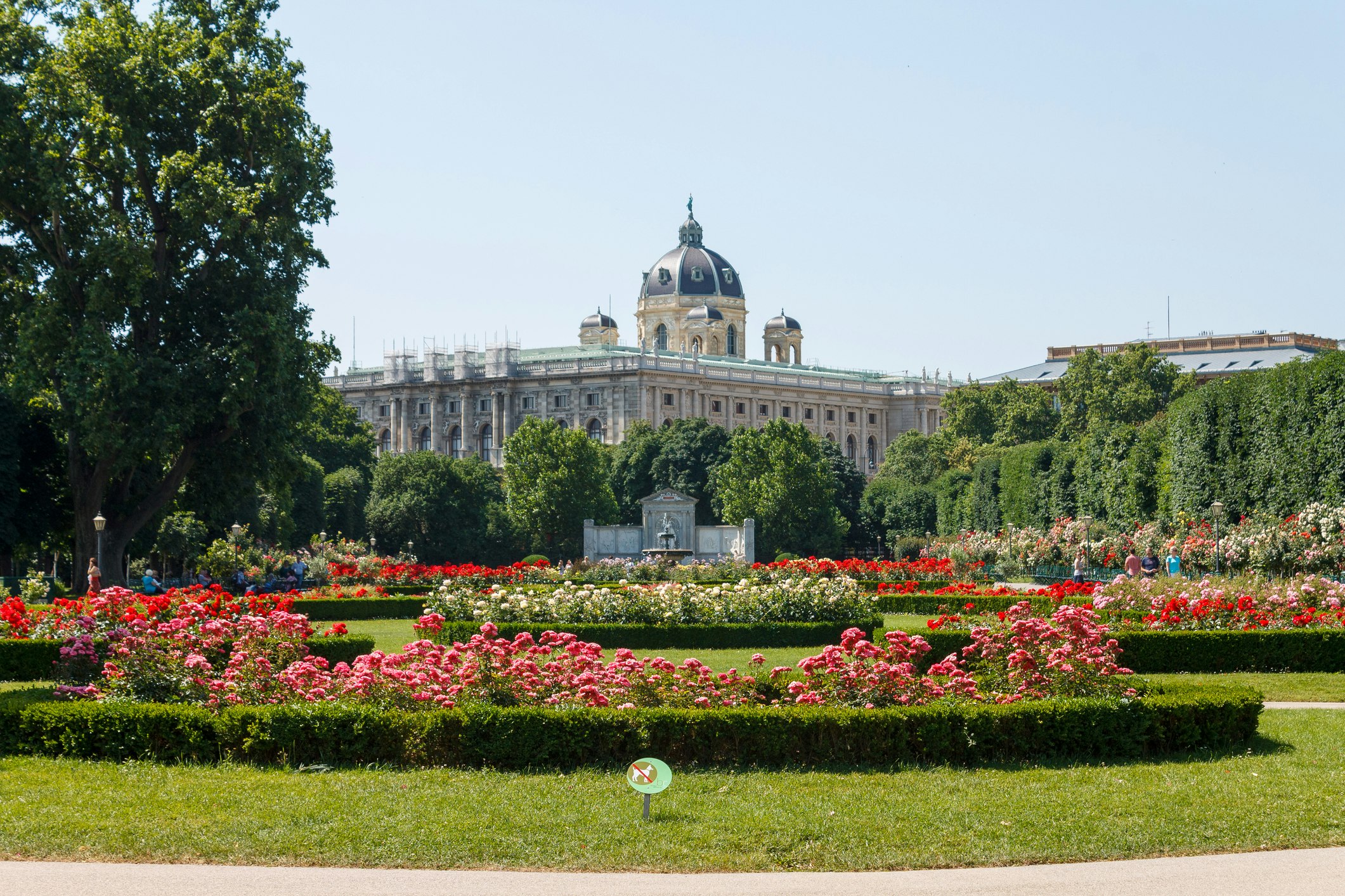 Volksgarten: Vienna's Lush Heartbeat