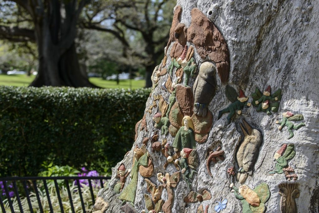 Discover the Magic of The Faeries Tree in Melbourne’s Fitzroy Gardens